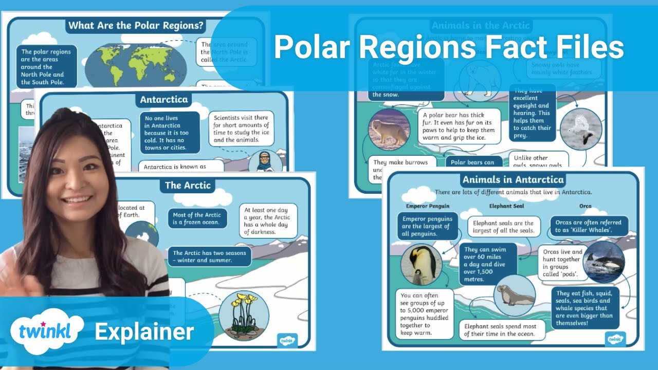EYFS Polar Regions Fact Files for Kids - YouTube