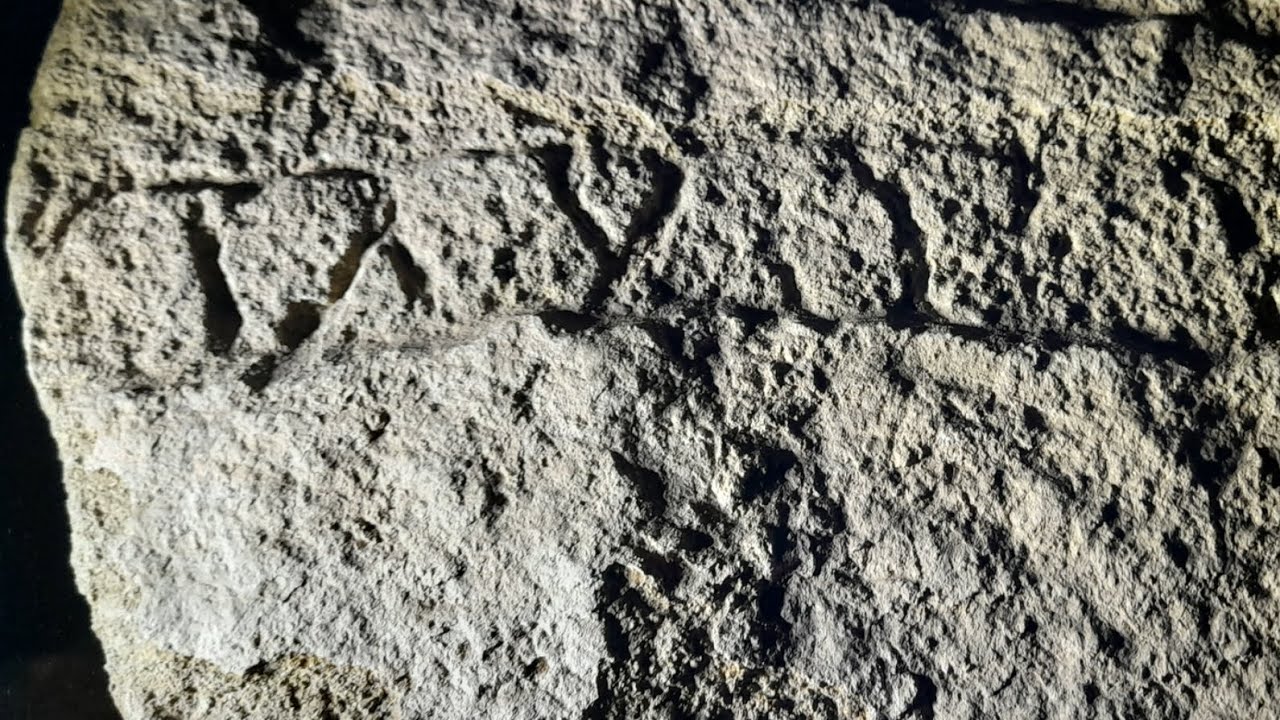 DISCOVERY OF THE OLDEST WRITING IN EUROPE: FOUND IN CATALONIA - YouTube