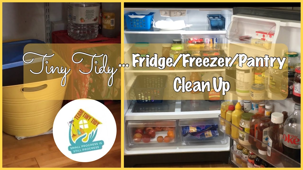 *Collab* | Tiny Tidy | Clean Out the Refrigerator, Freezer, & Pantry ...