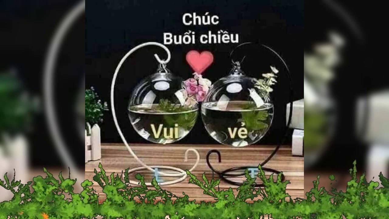 Buổi chiều vui vẻ - YouTube