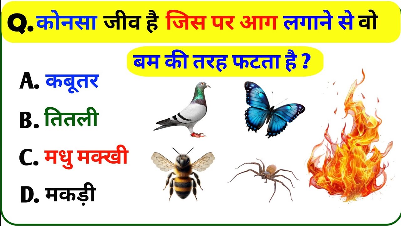 The Most Surprising Facts You Didn t Know Gk Trivia Gk Question the-most-surprising-facts-you-didn-t-know-gk-trivia-gk-question