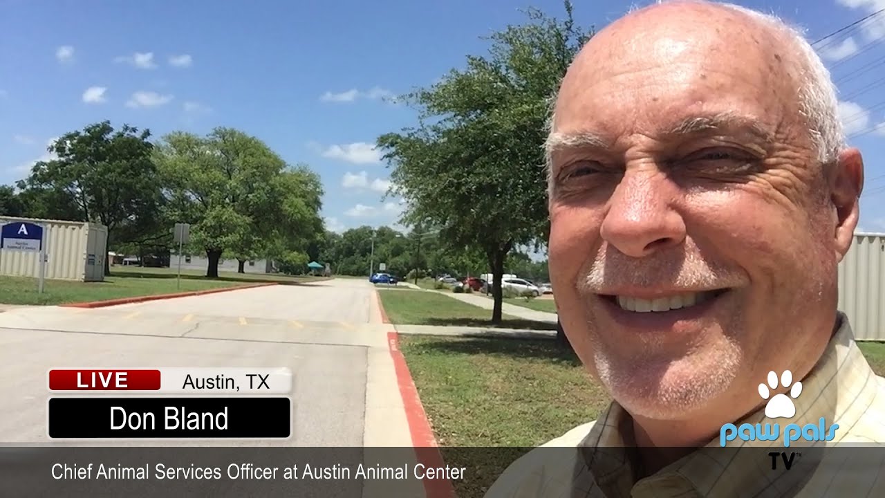PAW PALS TV - Watch Don Bland, Austin Chief Animal Services Officer ...