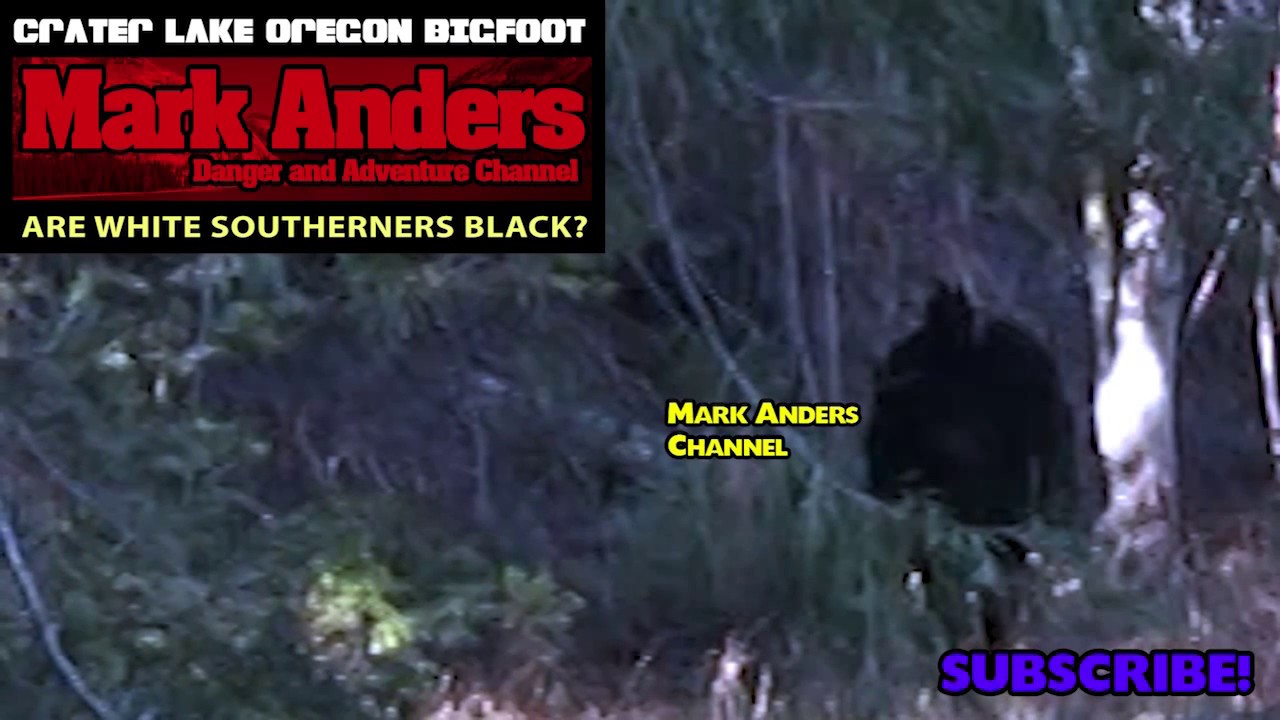 Bigfoot OREGON SHADOW SASQUATCH - YouTube
