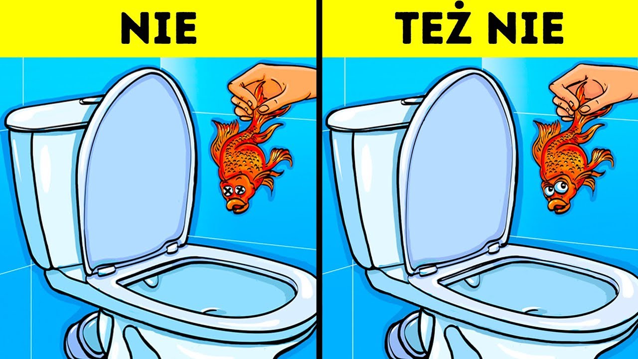 12 rzeczy, których nie powinieneś wrzucać do toalety - YouTube