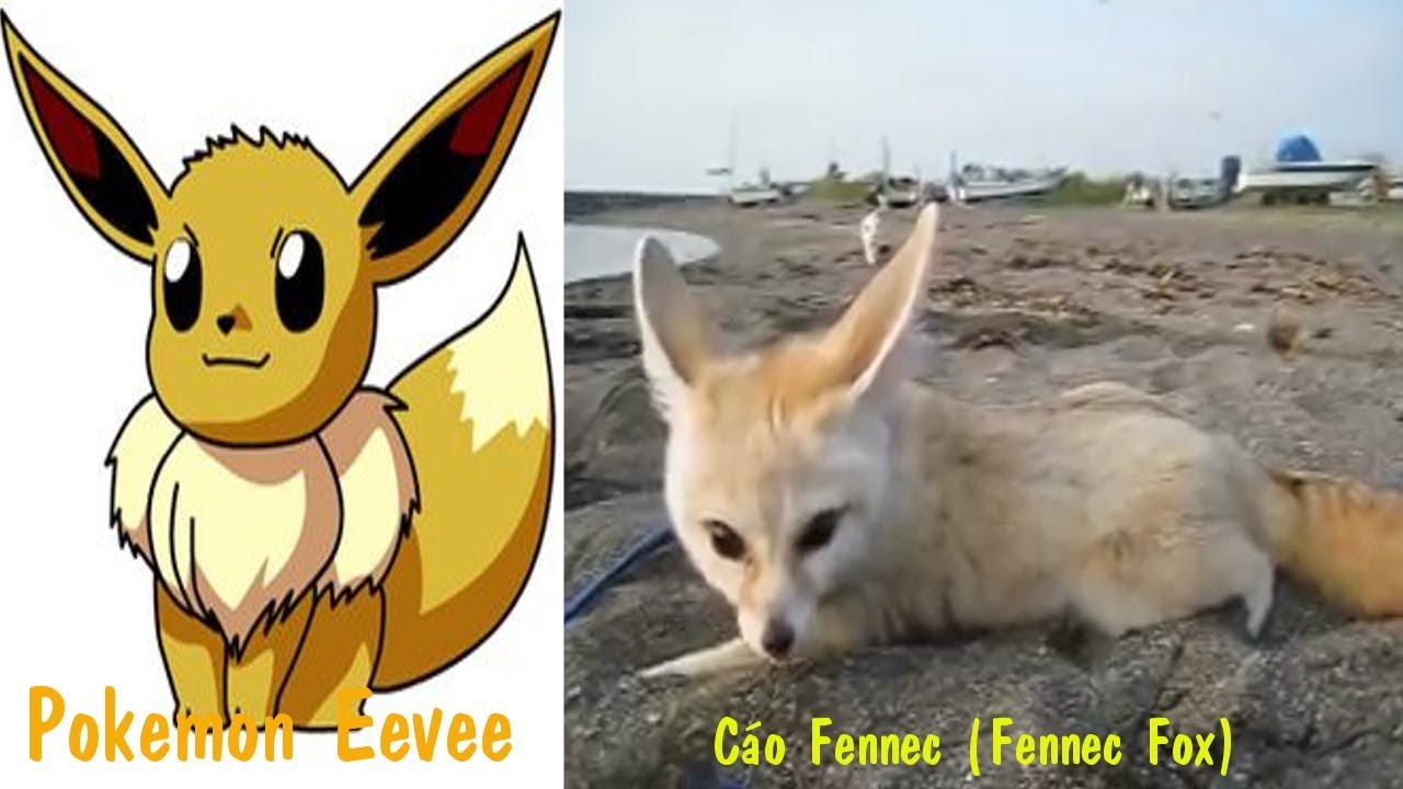 10 Pokemon Có Thật Ngoài Đời || Pokemon In Real Life - YouTube