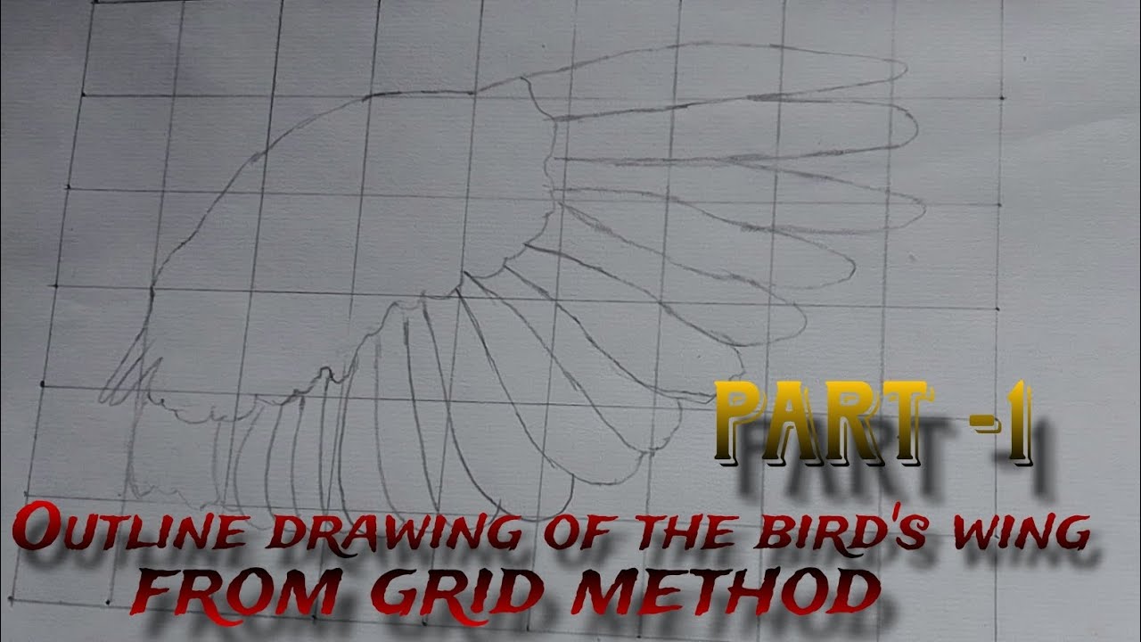 how to draw the bird's wing for beginners | step by step drawing ...