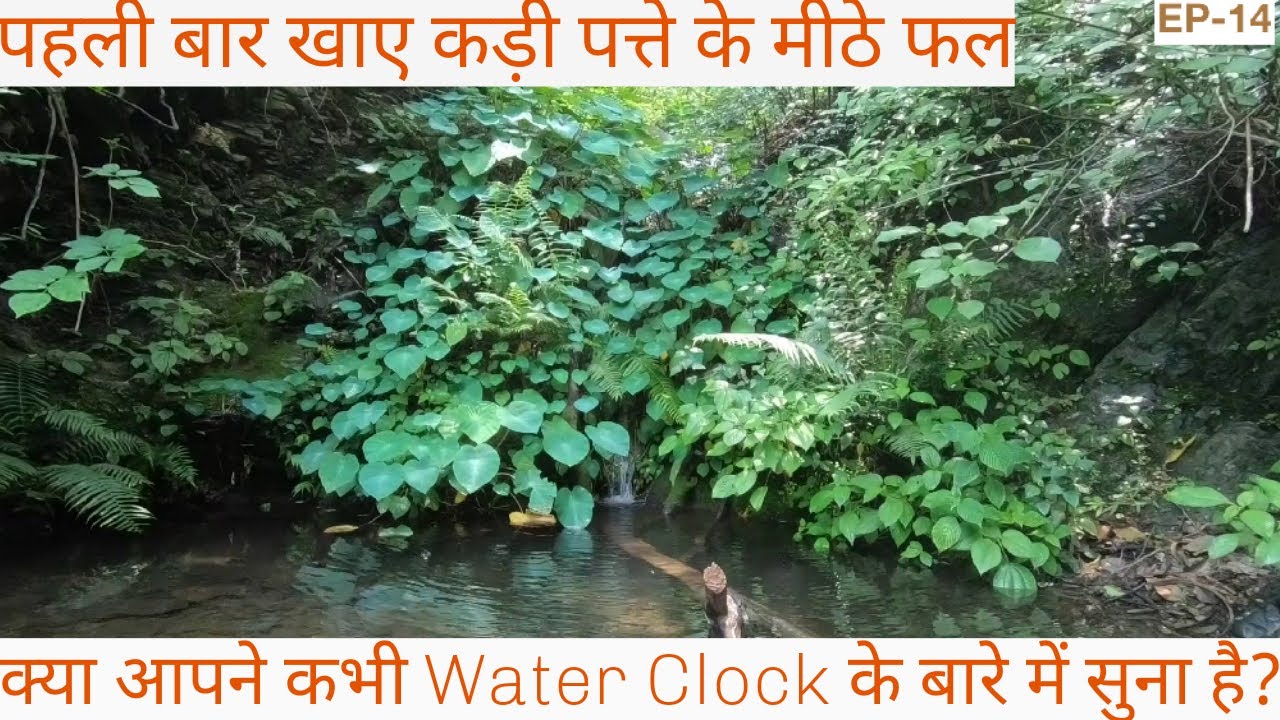Have you ever heard of Water Clock used in the ancient times?Entering ...