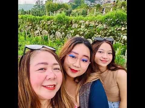 Northern Blossom Flower Farm Paradise at Atok, Benguet June 2023