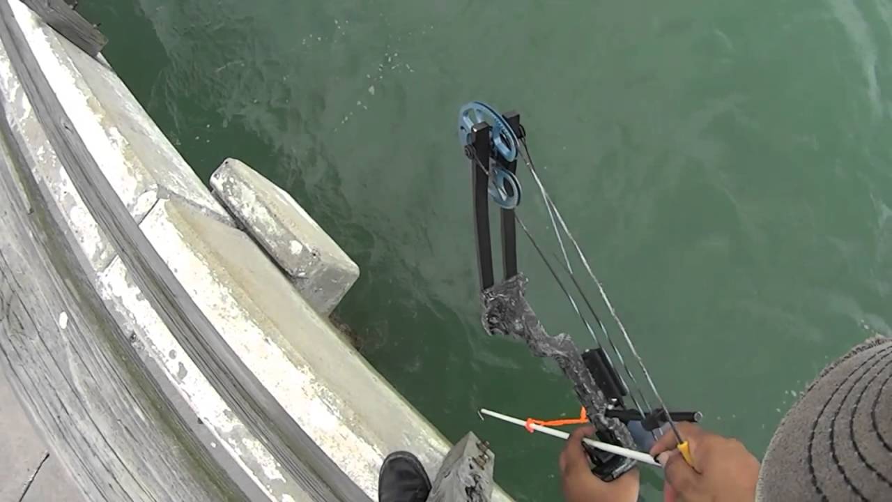 Sheepshead bow fishing Corpus Christi, TX 2016 - YouTube