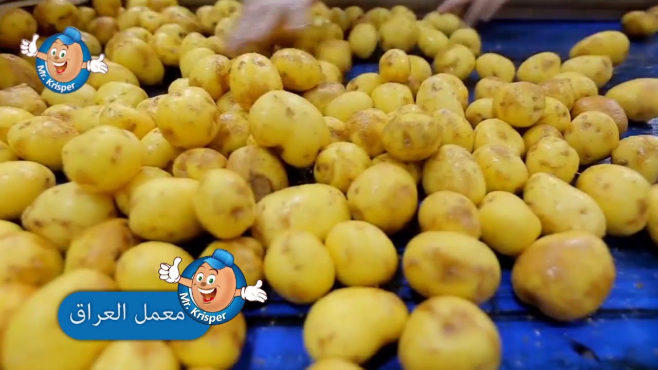 انتاج شیبس بطاطا طبيعي شيبس ميتو و مستركرسبر Youtube