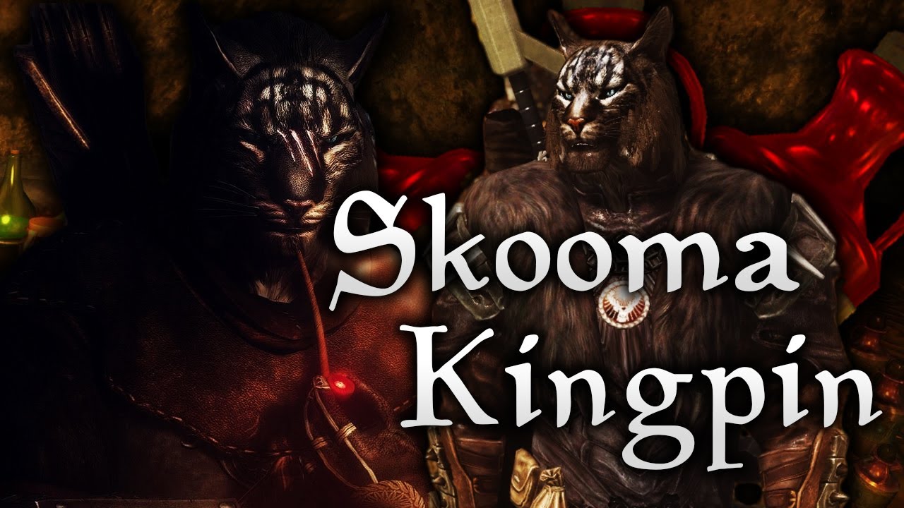 Skyrim Life as a Skooma Dealer Episode 16 | Skooma Kingpin - YouTube