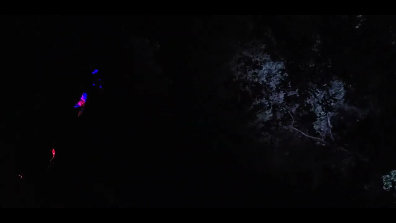 Late night loop feels 🌙 Resonate Suwannee - YouTube