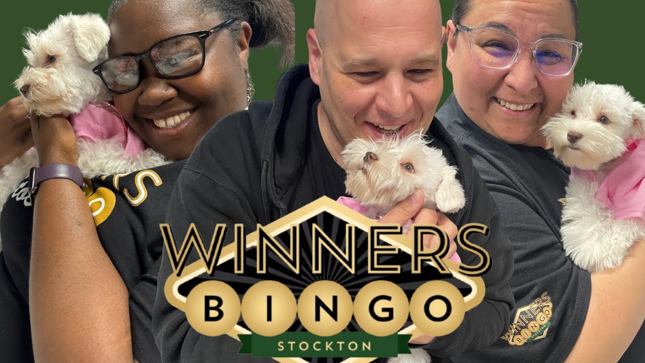 Special Bingo Buddy Today 🐶 - YouTube