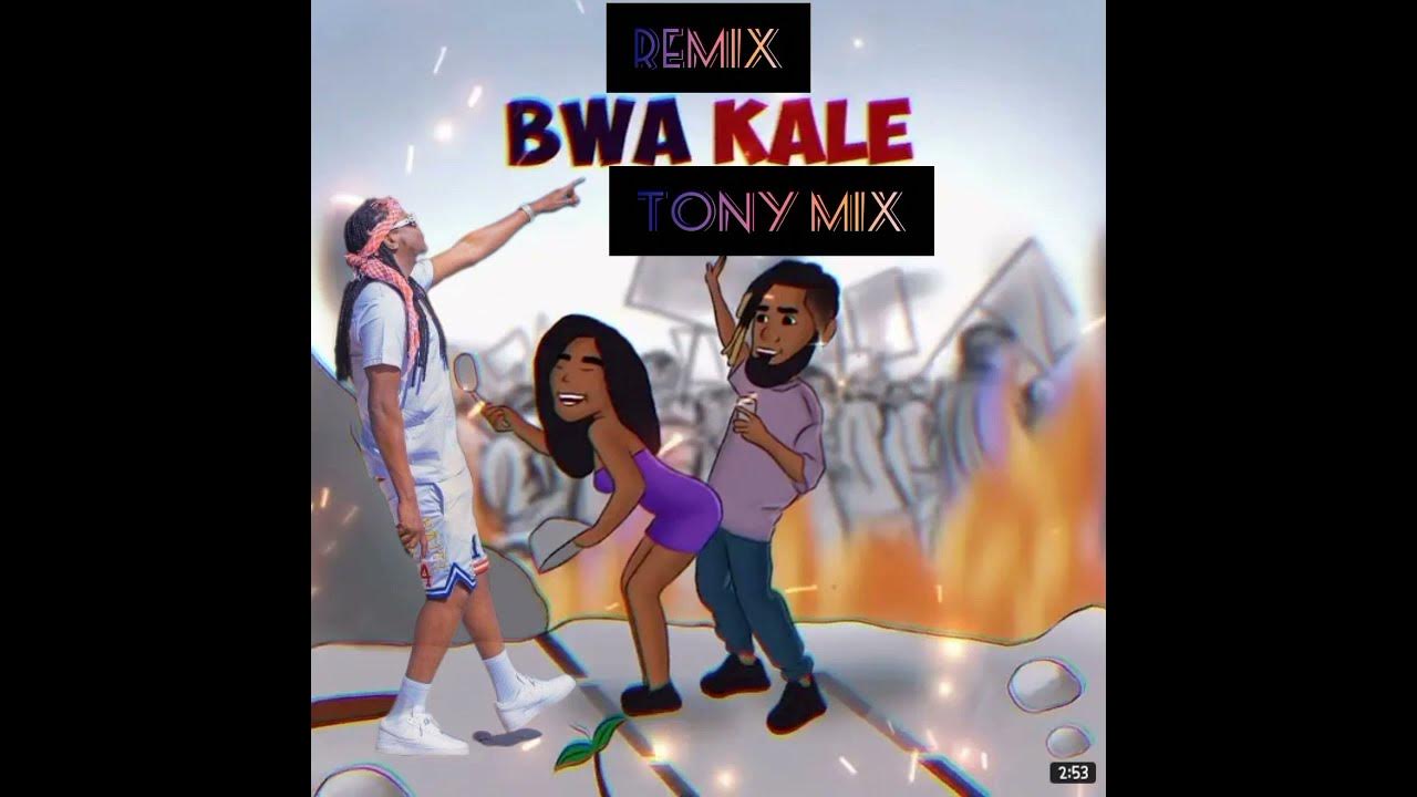 Mixtape bwa kale Tonymix ft dj Amelymix - YouTube