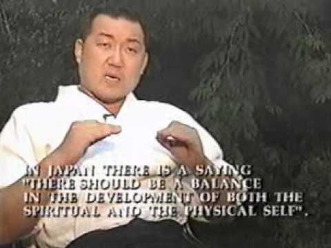 Айкидо и Стивен Сигал  / Aikido Steven Seagal The Path Beyond Thougt Telesymch