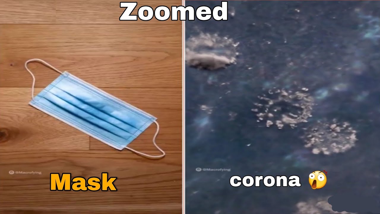 Objects zoomed by microscope - YouTube