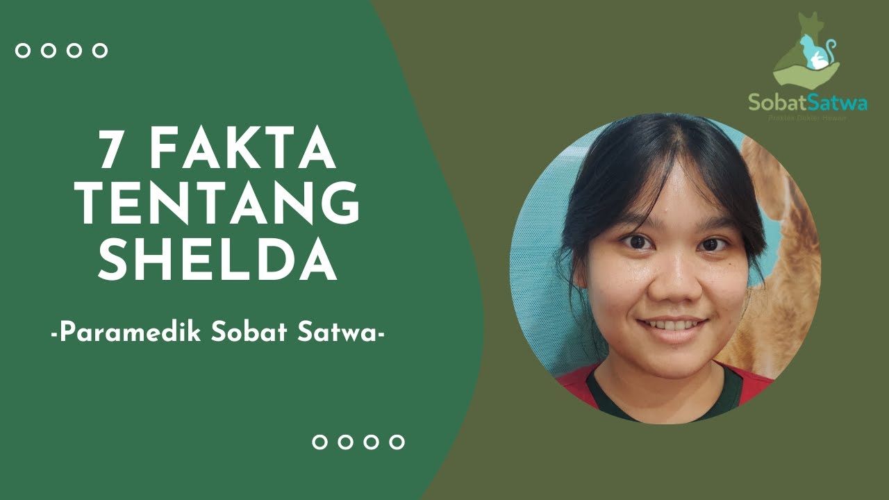 7 Fakta Tentang Shelda - YouTube