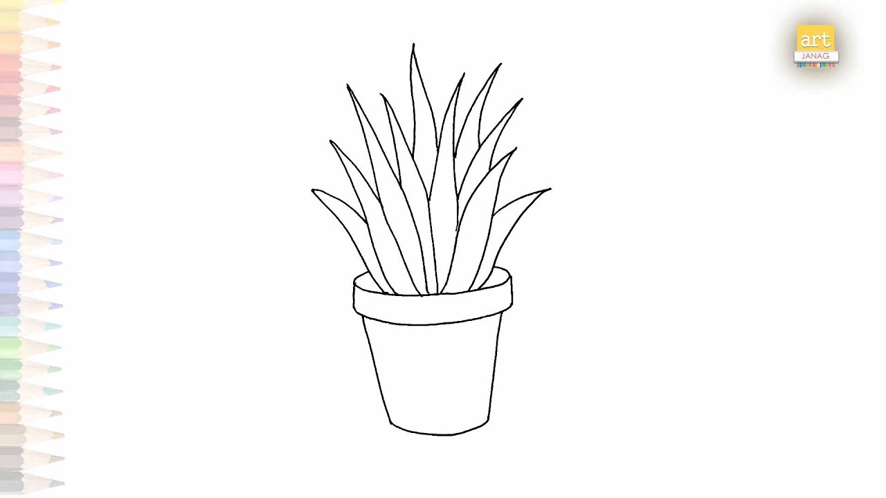 Plant pot drawing | Outline drawings easy | How to draw A Plant step by ...