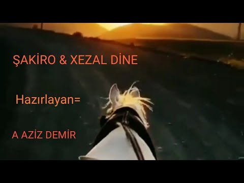 ŞAKİRO & AŞKA DILA (XEZAL & DİNE)