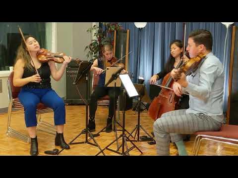 Ulysses String Quartet 111022 C Mendelsschon - YouTube