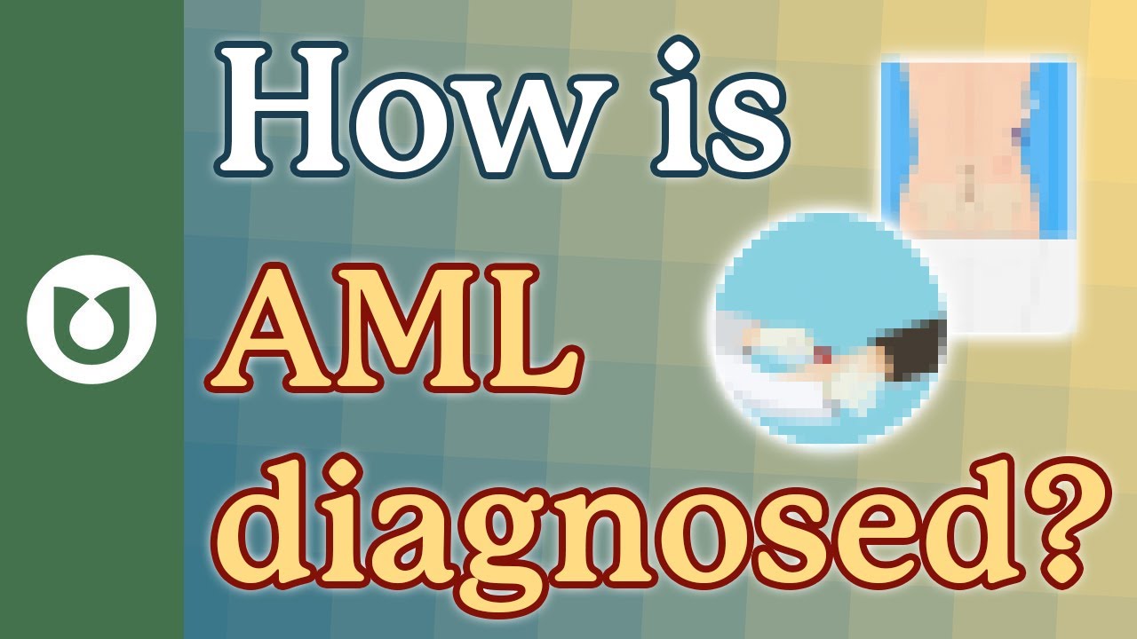 How is AML diagnosed? #AML - YouTube