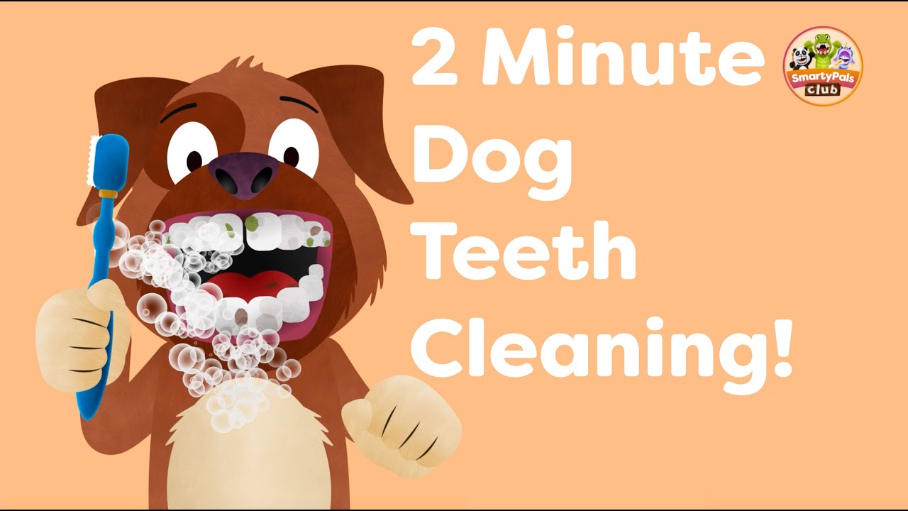 Dog Tooth Brushing Song with the SmartyPalsClub! | 2 Minutes Teeth ...