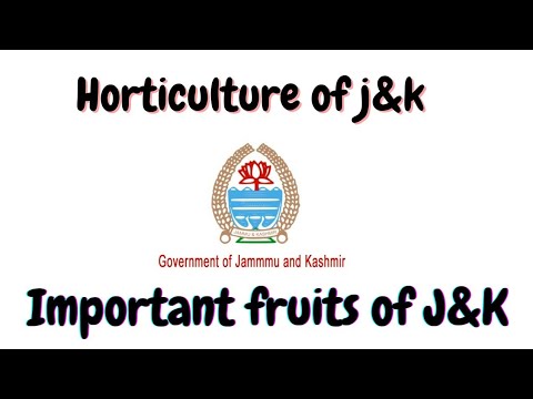 HORTICULTURE OF JAMMU AND KASHMIR. /Important fruits of jammu and ...
