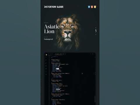 Distortion Slider (JS, CSS & HTML🧑‍💻) #coding #programming #2024 #webdev #webdeveloper # ...
