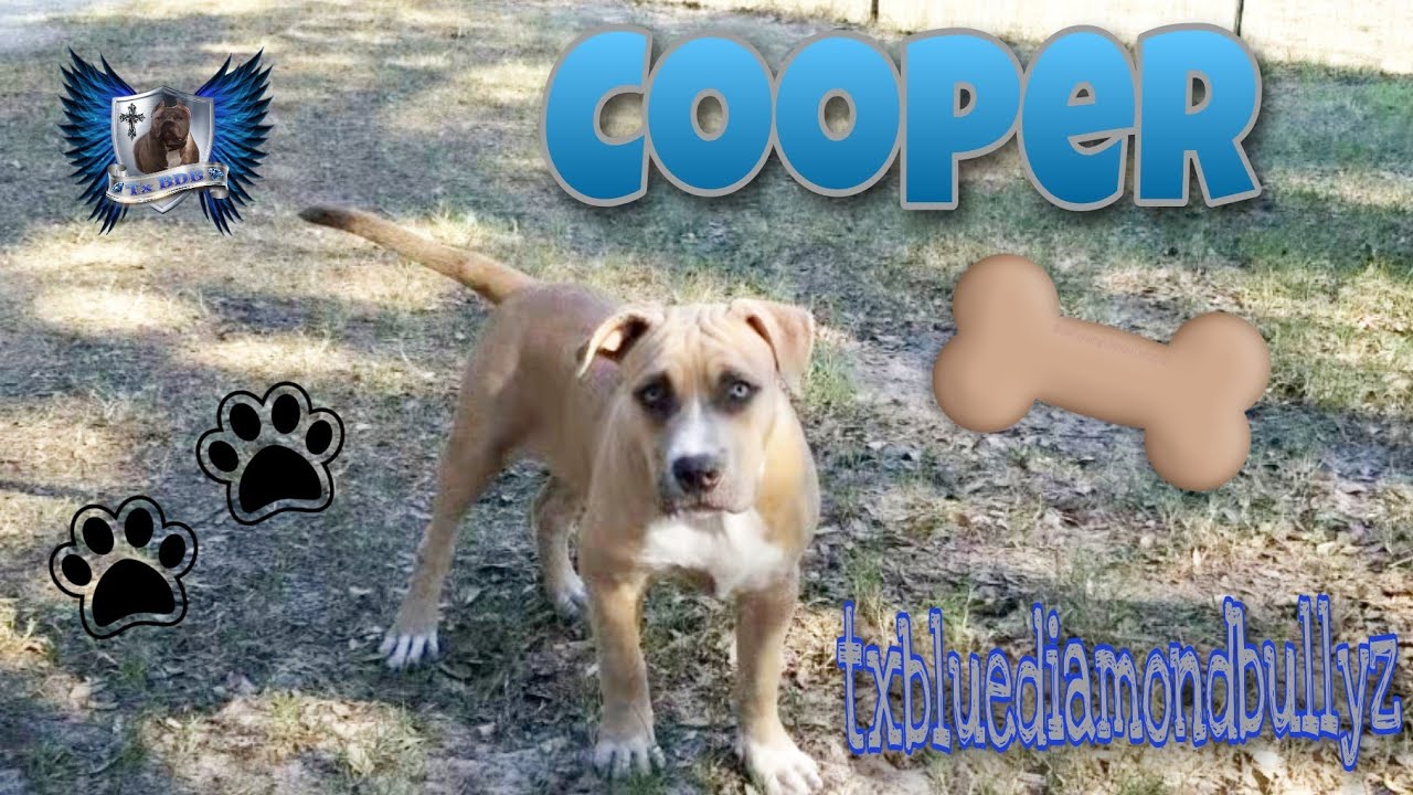 "Cooper" Spotlight Video - YouTube
