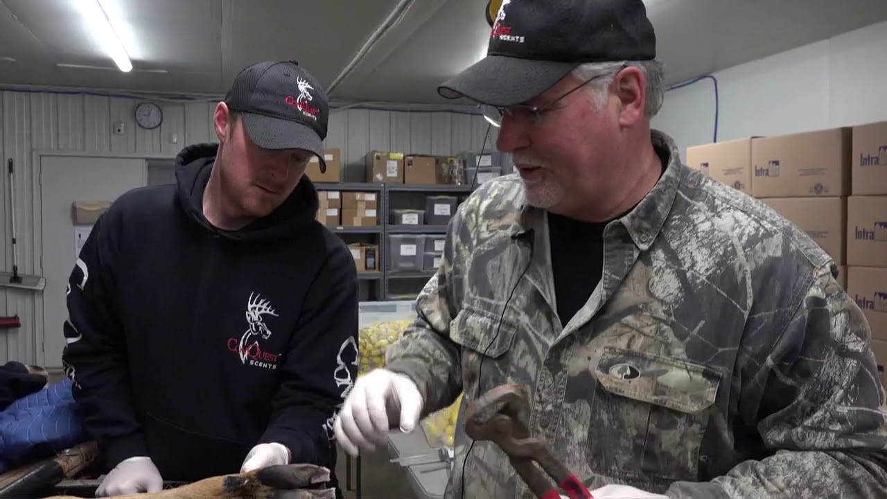 ConQuest Deer Farm. Bruce's Foot Injury. - YouTube