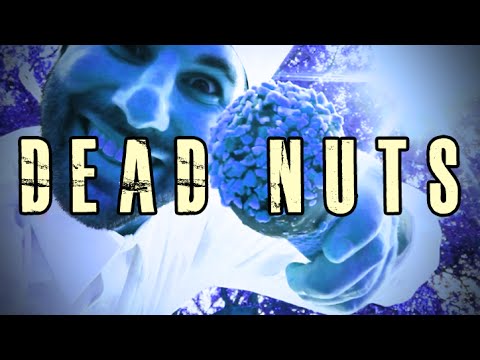 NANOshorts • Dead Nuts - YouTube