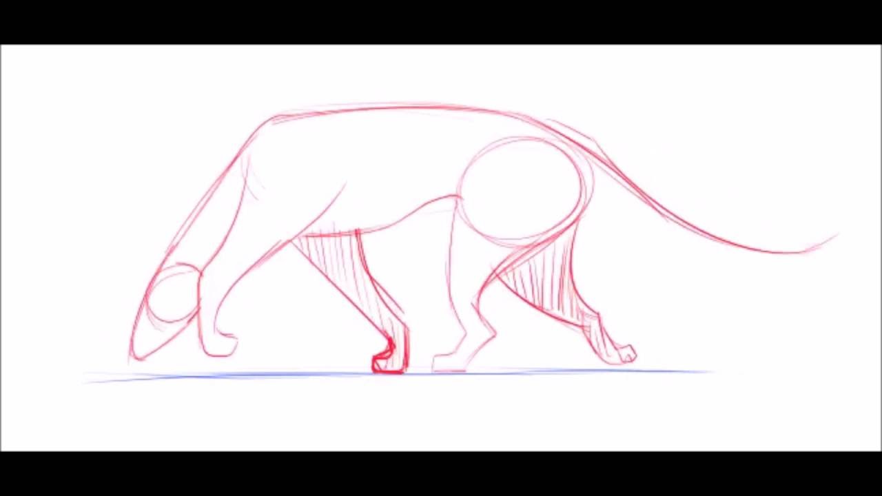 Animation: Quadrupedal Walk Cycle - YouTube