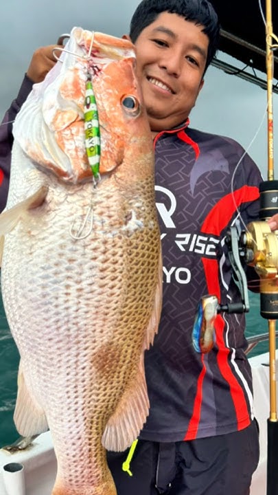 Mancing Jiging Pakai umpan Metal Jig Joran Melengkung Tajam Strike Ikan Kakap Tompel Babon Lur ...