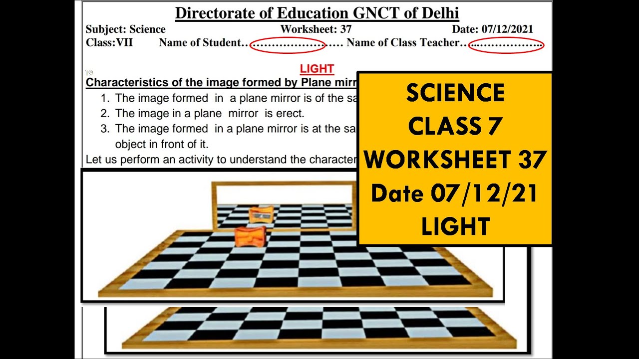 science worksheet 37 class 7th | 7/12/21 | science class 7 worksheet 37 ...