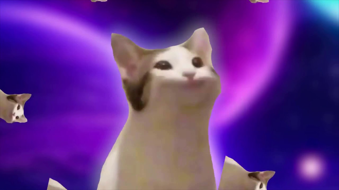 CAT [EARRAPE] - YouTube
