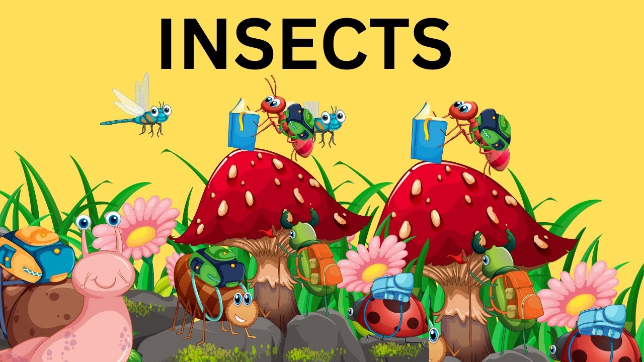 Yay !! All about Insects | Educational Videos for Kids ⁠| VikaVish ...