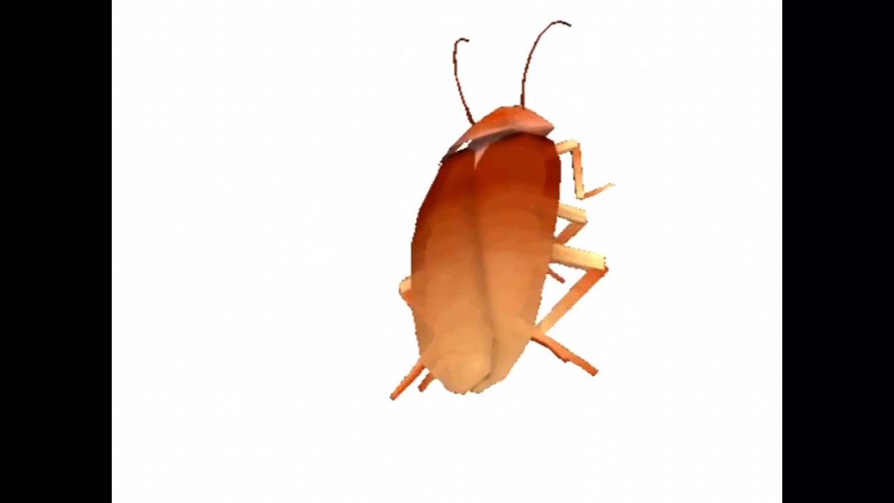 Danceing Roach - YouTube