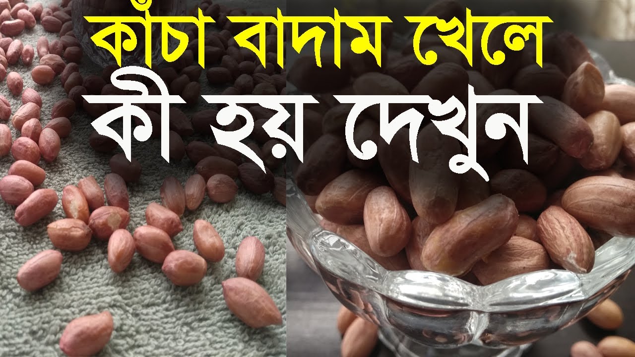 কাঁচা বাদাম খাওয়ার নিয়ম ও উপকারিতা | বাদাম বাদাম দাদা কাচা বাদাম ...