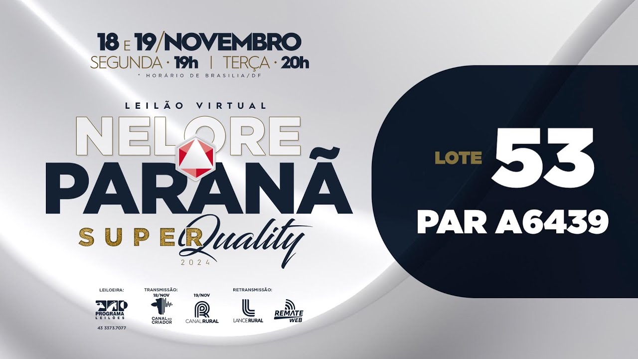 LOTE 53 PAR A6439 - YouTube