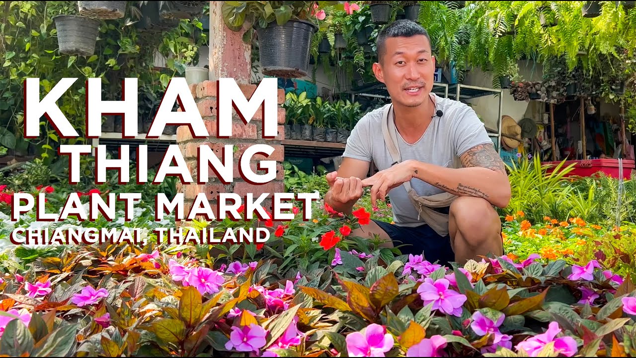 Gorgeous Common Plants Tour | Kham Thiang Garden Market Chiangmai ...