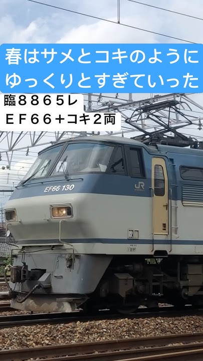 【貨物列車】サメとコキ2両 今日の臨8865レ EF66-130が貨車とゆく 20250510 - YouTube