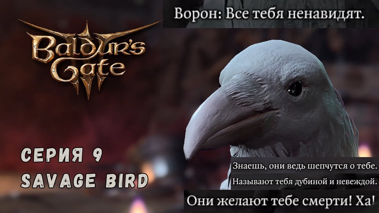 Savage bird Baldurs Gate 3 №9 - YouTube
