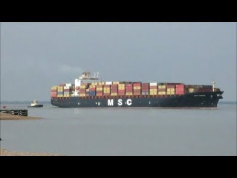 MSC Sarah arrives to the Port of Felixstowe with the help of two ...