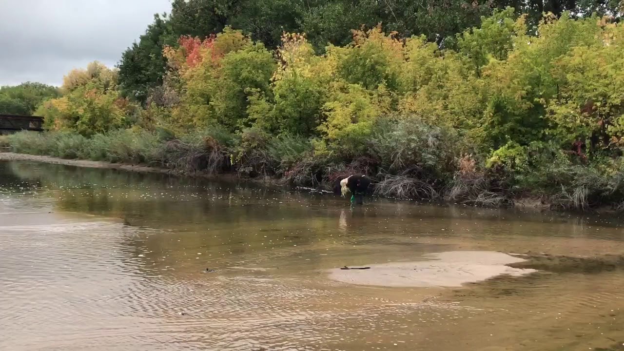 Sep water sampling - YouTube