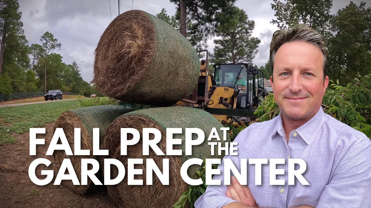 Fall Festival Prep in Full Swing at Grass Roots Garden Center! - YouTube