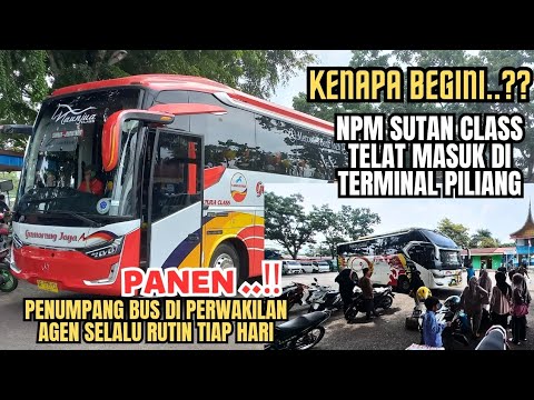 PANEN‼️PENUMPANG DI PERWAKILAN AGEN SELALU BANYAK DAN RUTIN|| HARI INI NPM TELAT MASUK TERMINAL ...