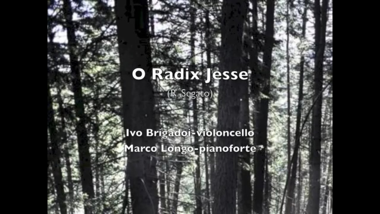 O Radix Jesse (Roberto Segato) - YouTube