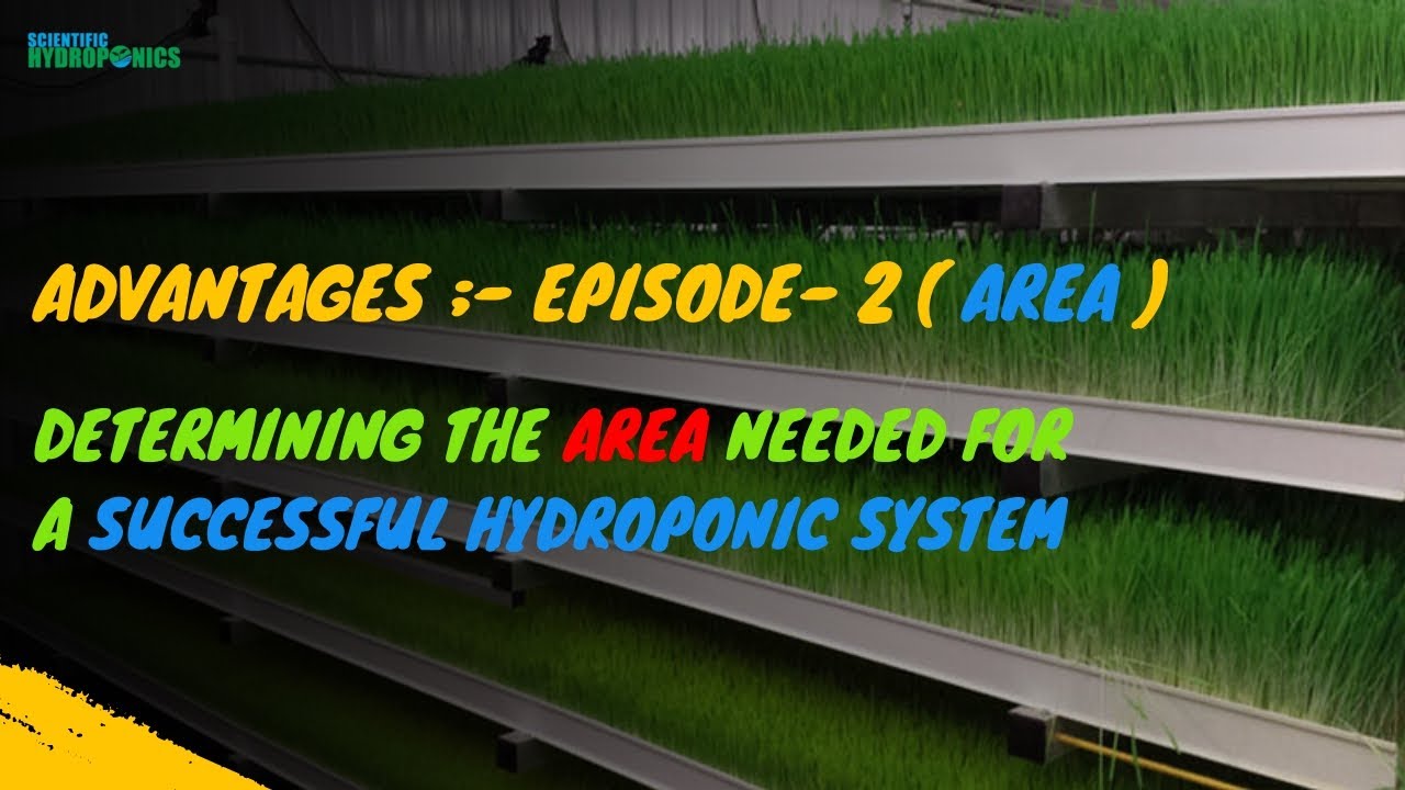 Determining the Area Needed for a Successful Hydroponic System. - YouTube