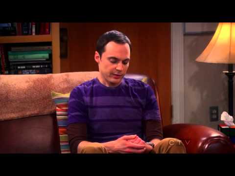 The.Big.Bang.Theory.S06E14 - Sheldon needed a hug from Amy. Awww! - YouTube