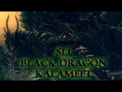 SL1 BLACK DRAGON KALAMEET: DARK SOULS™_ REMASTERED - YouTube